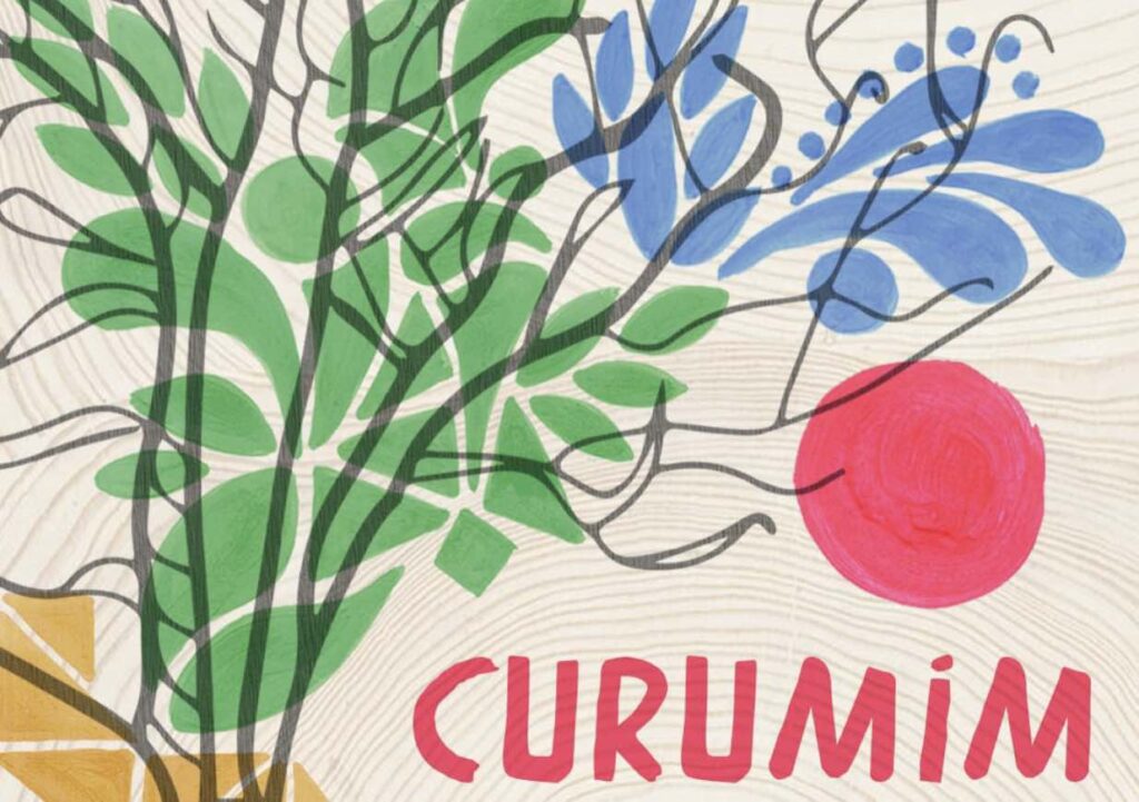 Curumim: uma Aventura Mágica no Parque da Cidade - BSBART